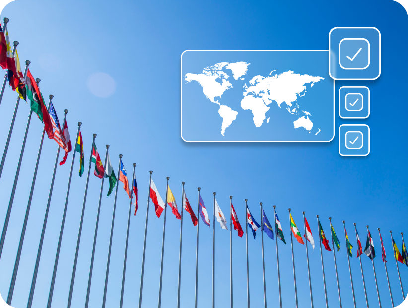 Our solutions | Webb Customs AI-based customs management system